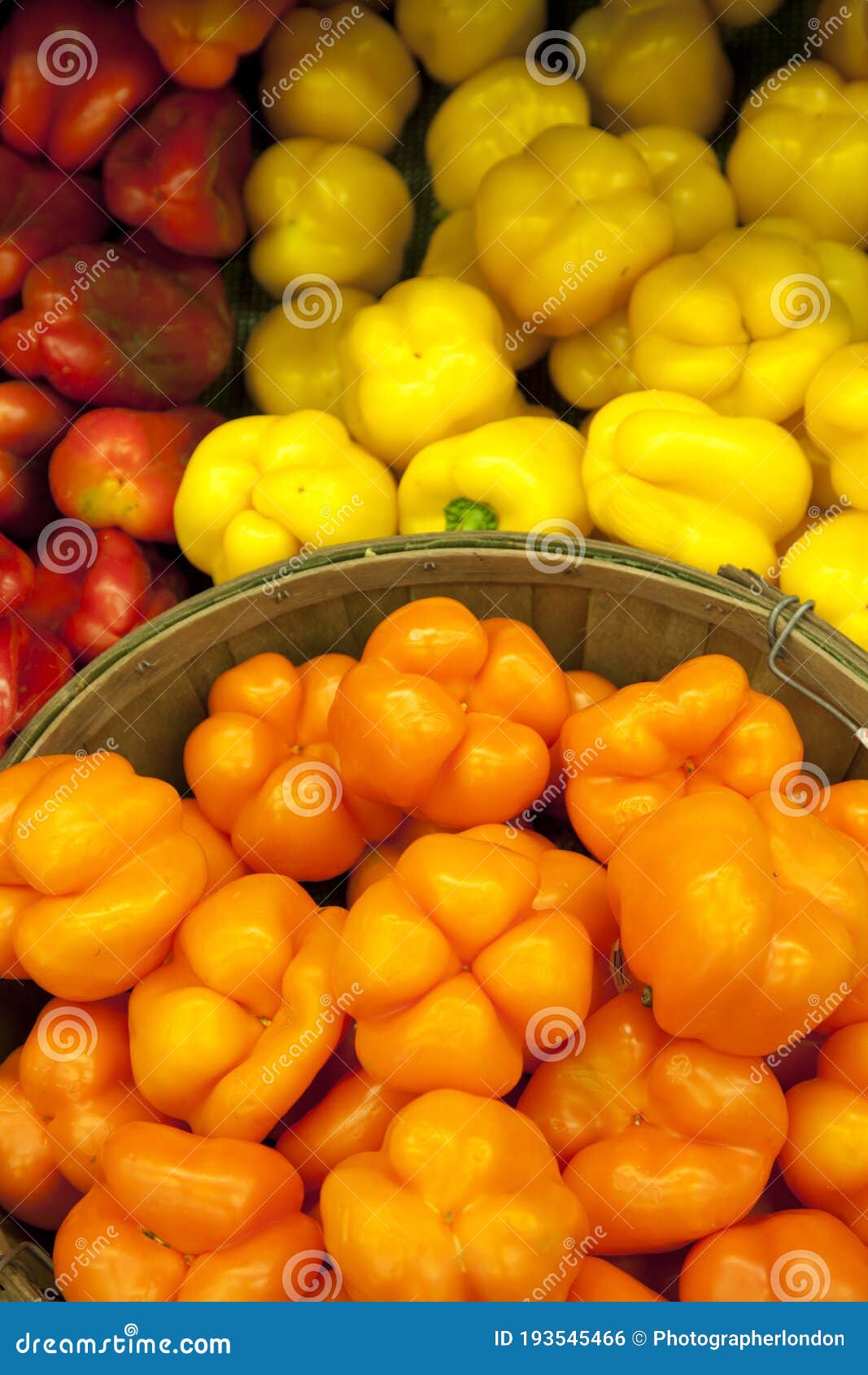 Multicolored Capsicum on Display in Market Stock Photo - Image of ...