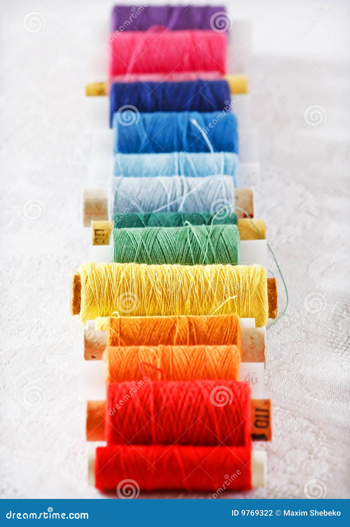 Multicolored Coils of Strings Stock Photo - Image of spider, green: 9769322