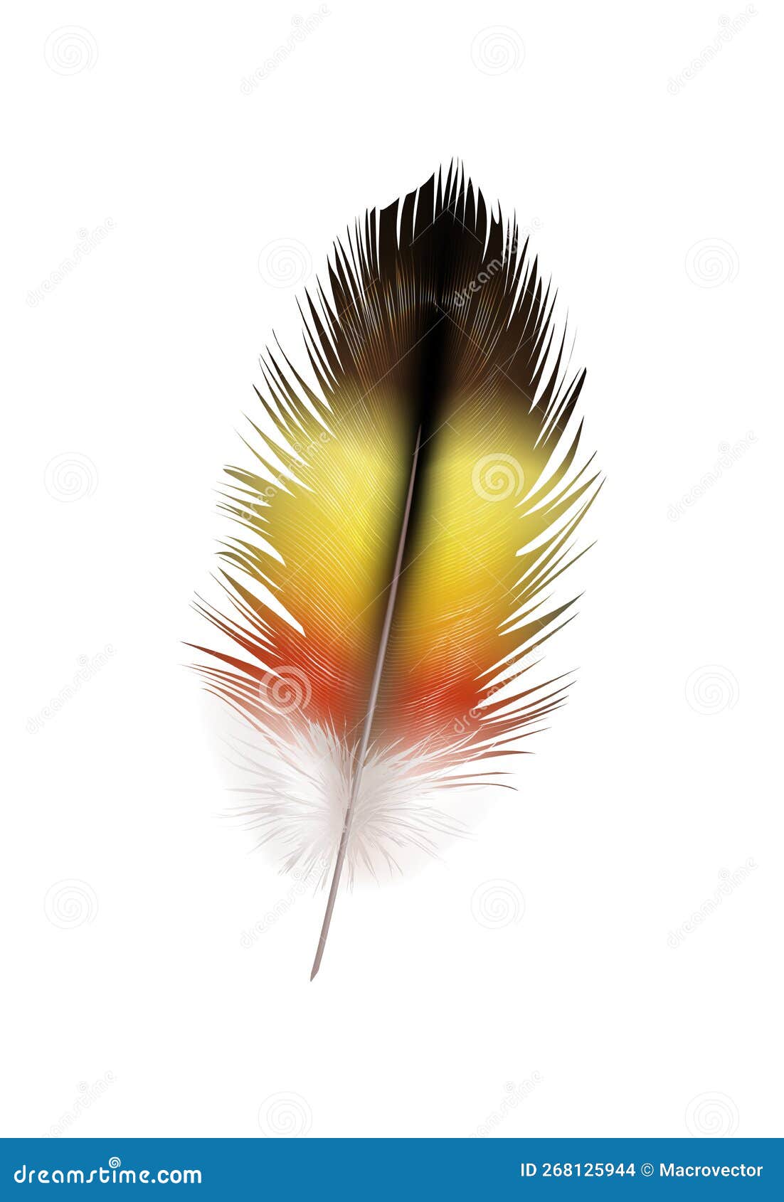 Multicolored Dyed Feather Composition Stock Vector - Illustration of ...