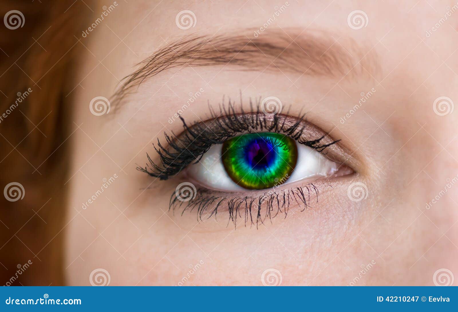 Multicolored eye. stock image. Image of eyeball, circle - 42210247
