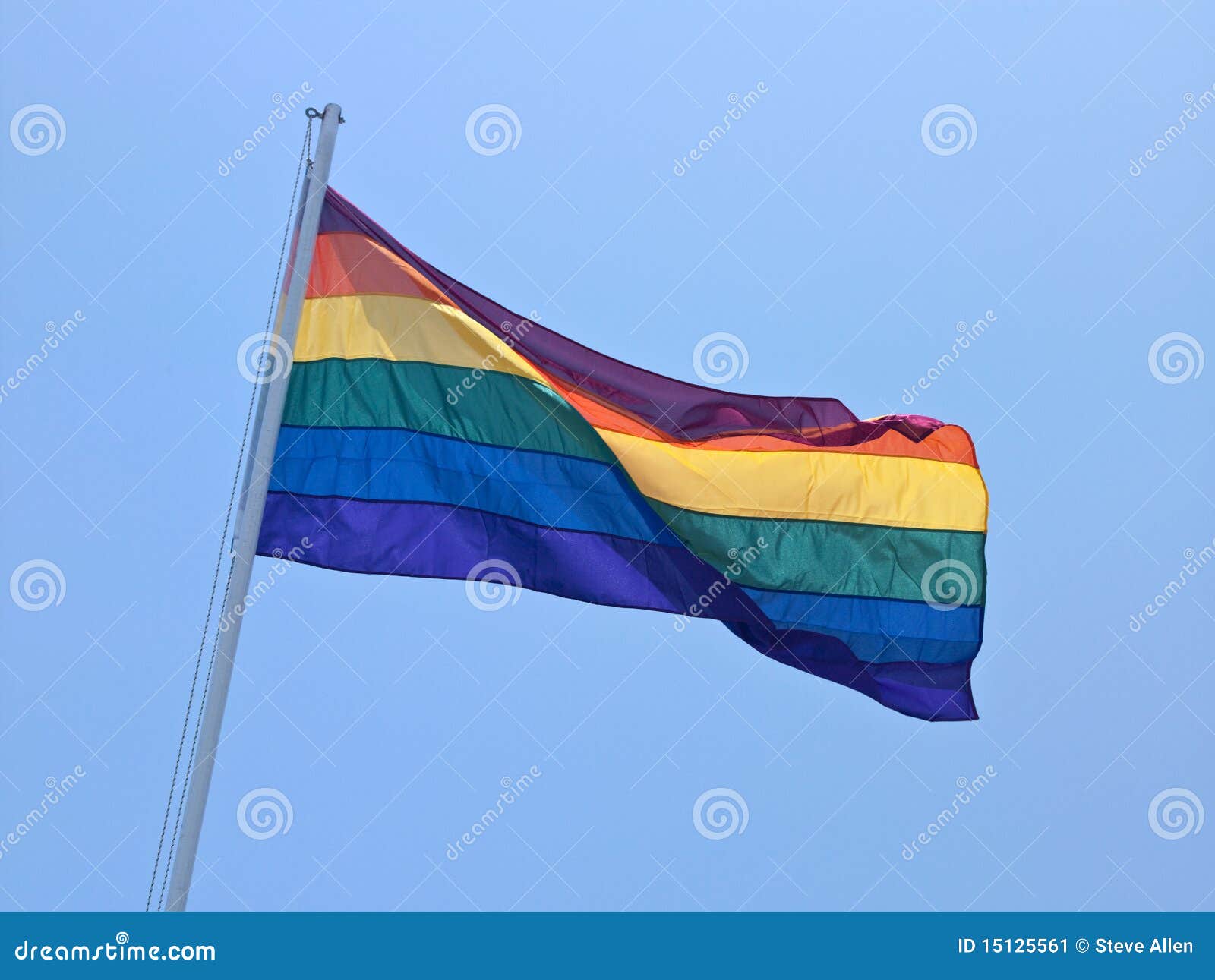 What color is the gay flag - dshohpa