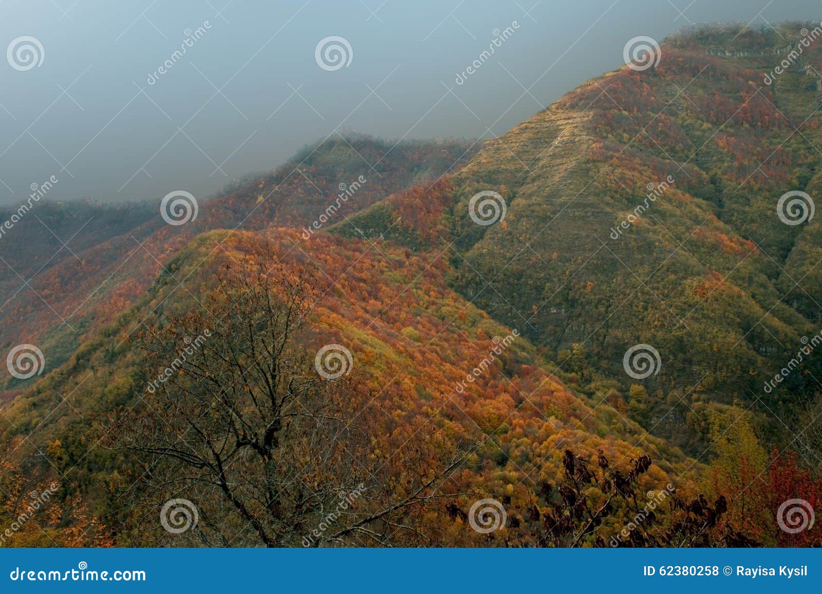 Multicolored mountains stock photo. Image of meadow, national - 62380258