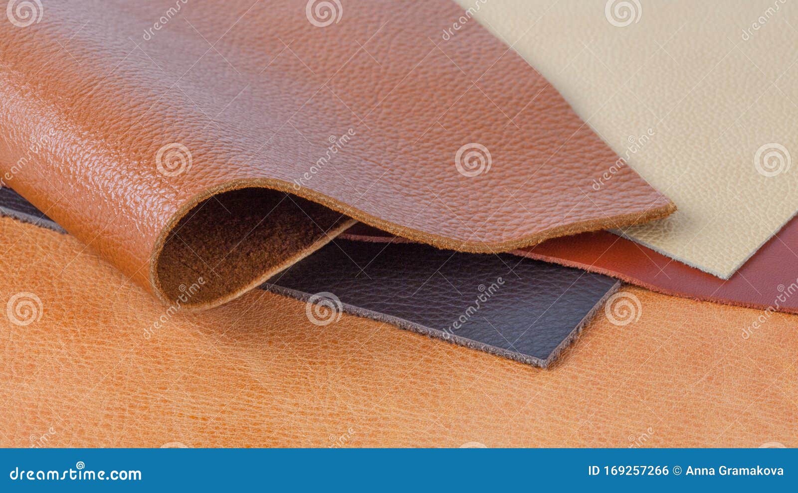 Multicolored Natural Leather Textures Samples Stock Photography ...