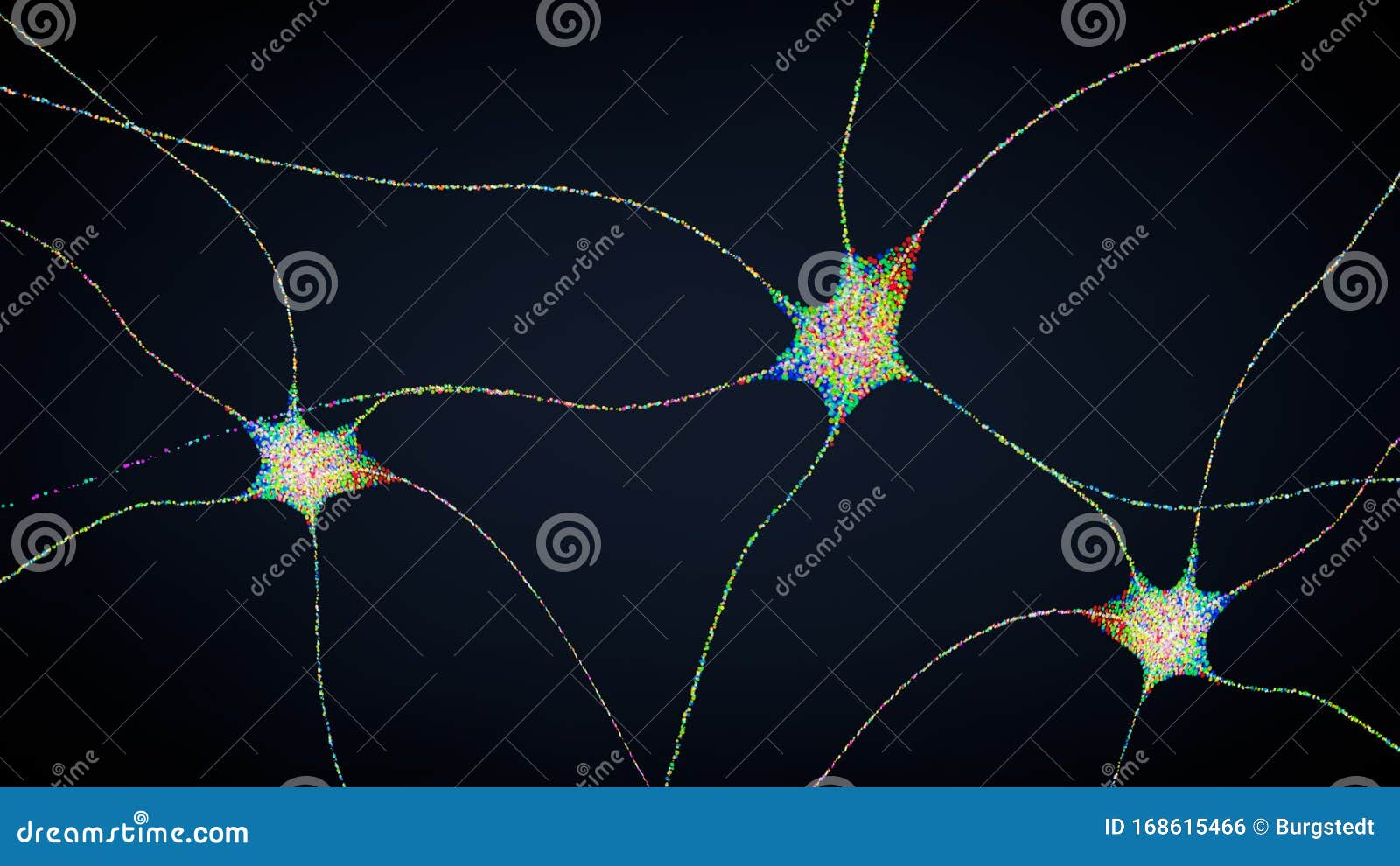 Multicolored And Transmitting Single Nerve Cell Or Neuron Royalty-Free ...
