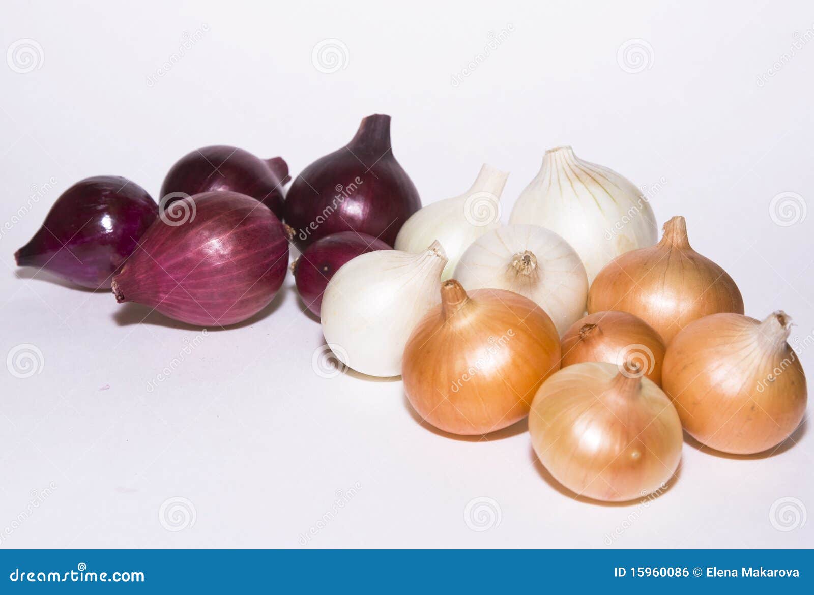 Multicolored onion stock photo. Image of vegetables, vitamins - 15960086