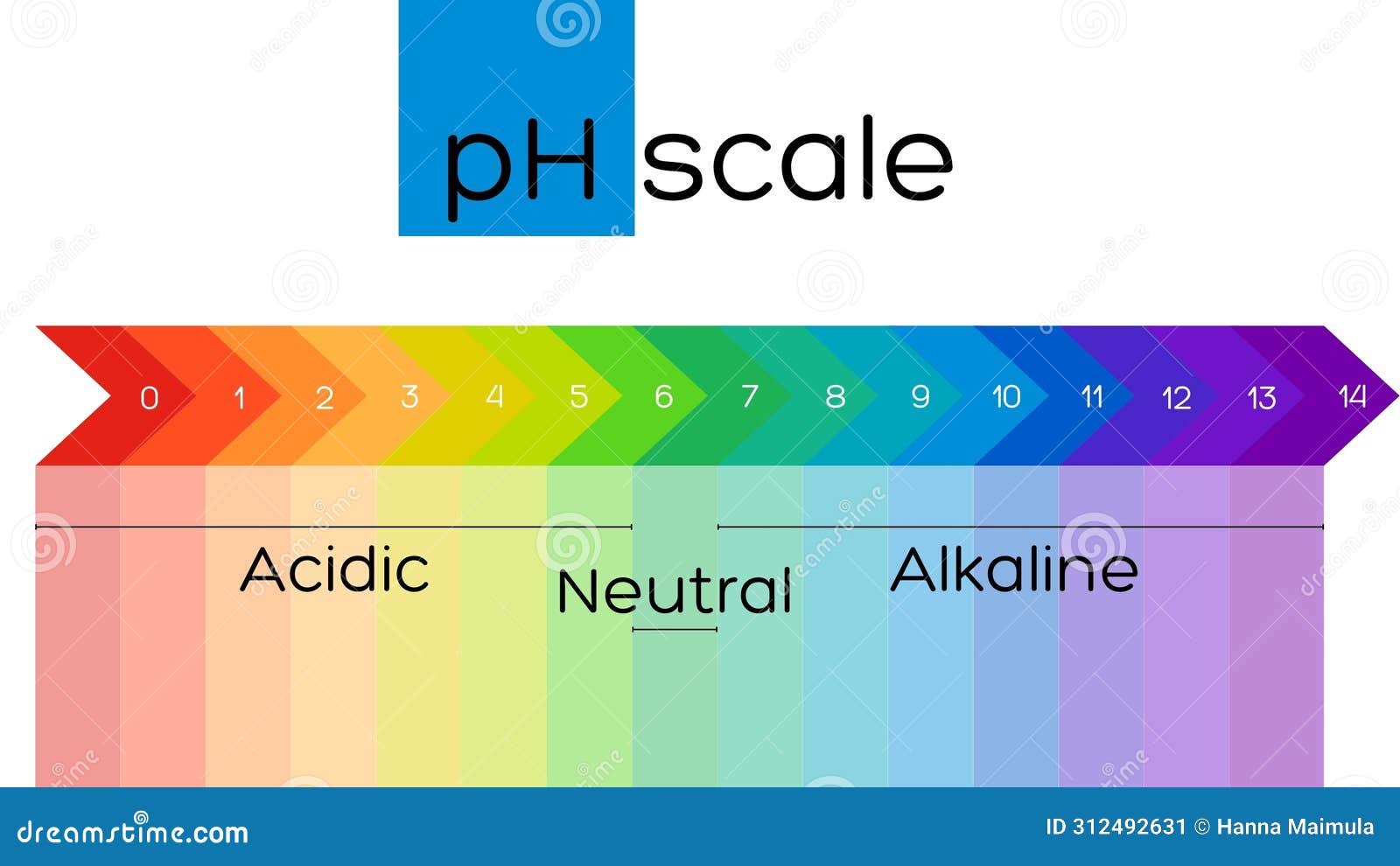 Multicolored PH Scale on a White Background Stock Image - Image of tube ...