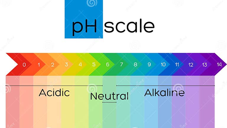 Multicolored PH Scale on a White Background Stock Image - Image of tube ...