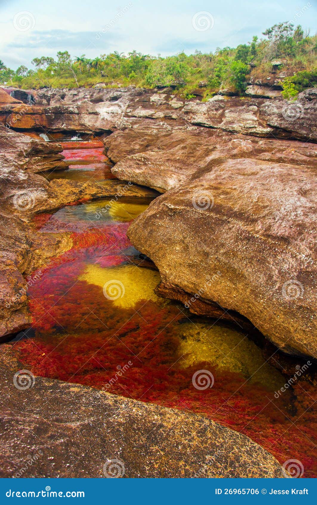 A Multicolored River in Colombia Stock Photo - Image of colombia ...
