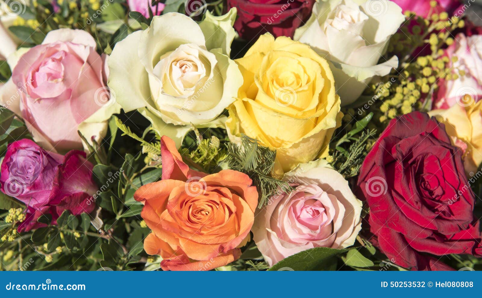 Multicolored roses stock photo. Image of fresh, bouquet - 50253532