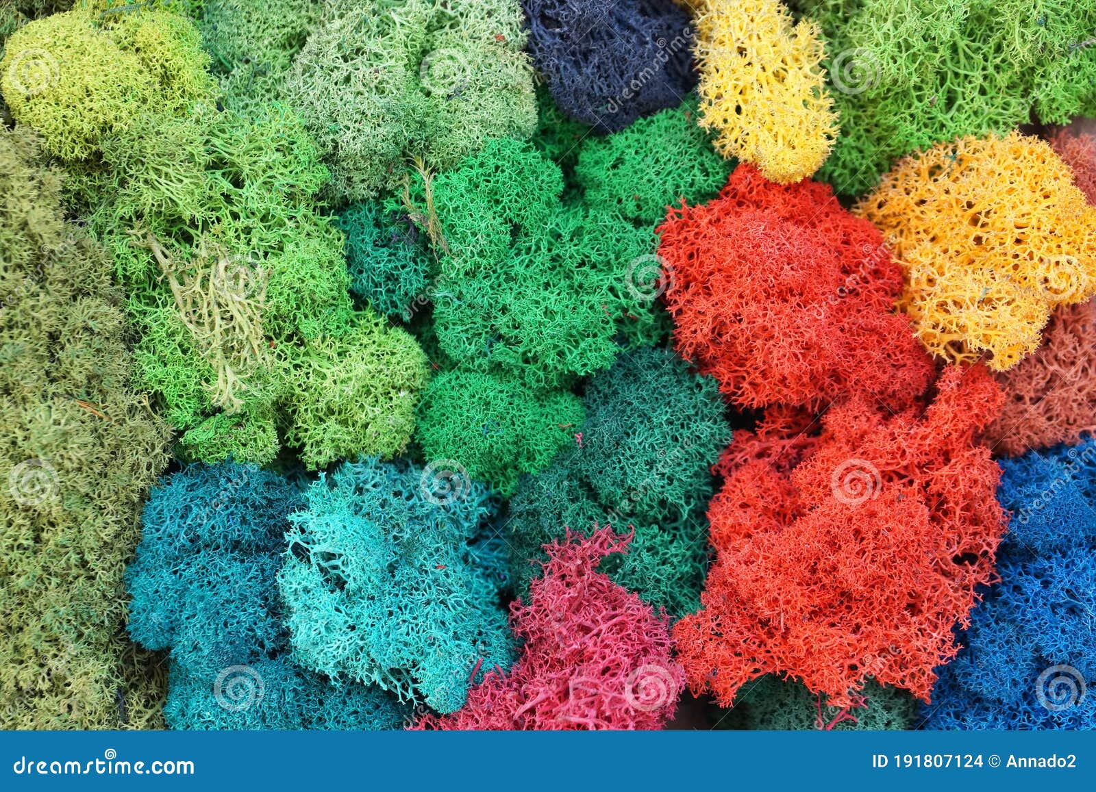 Multicolored Stabilized Moss Texture for Background Stock Photo - Image ...