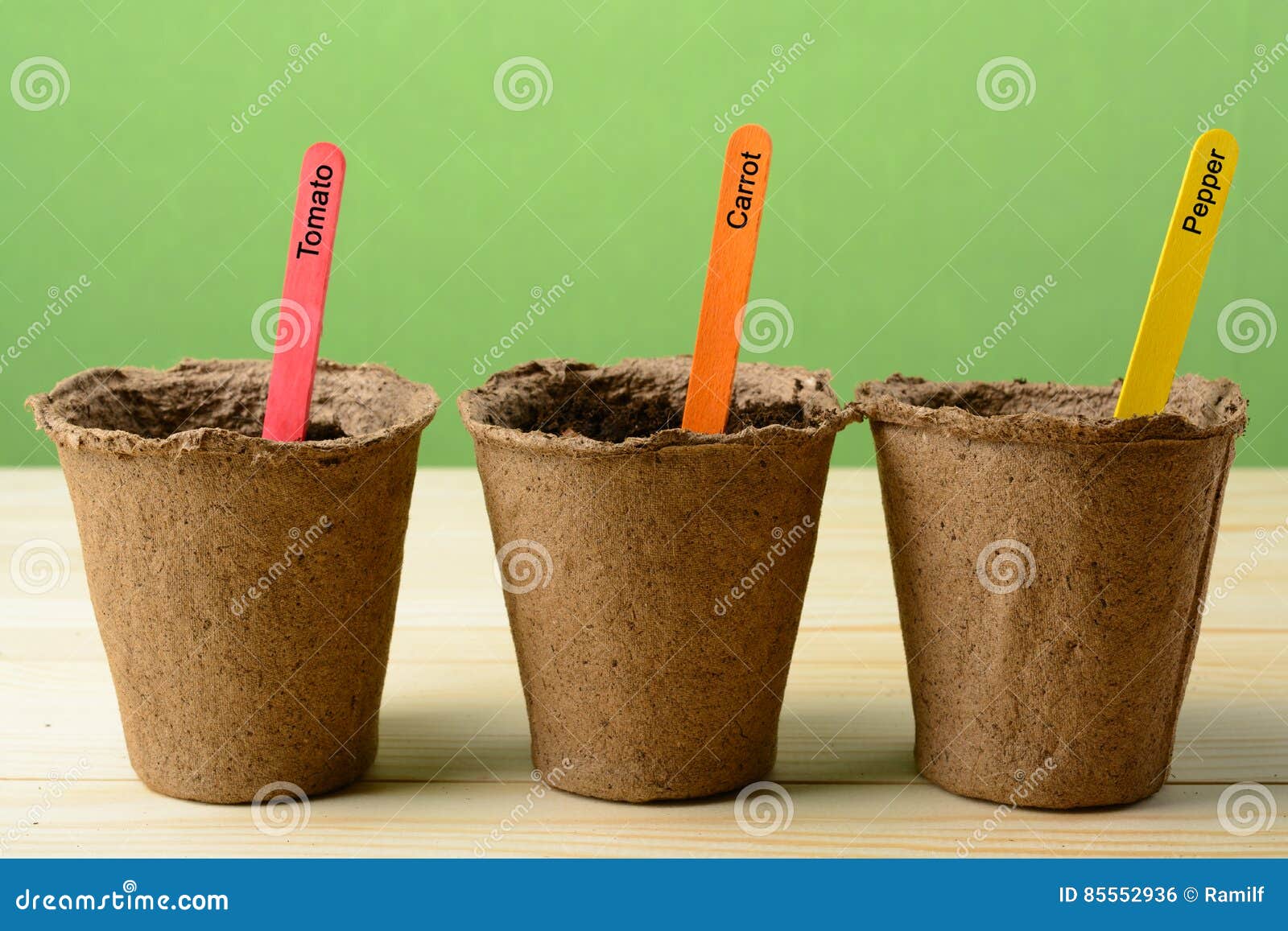 Multicolored Sticks in Peat Pots Stock Photo - Image of tomato, earth ...