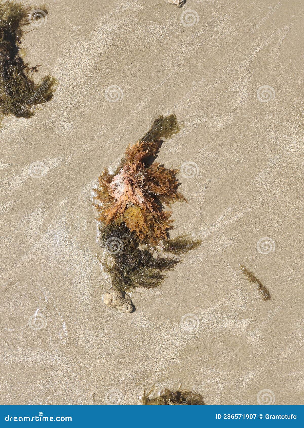 Multicolored Texture Forming a Background Stock Image - Image of ...