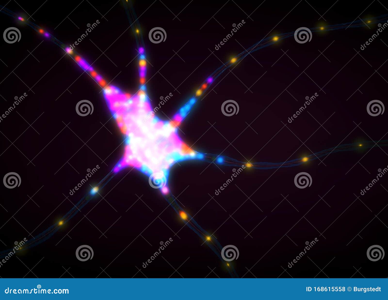Multicolored and Transmitting Single Nerve Cell or Neuron Stock ...