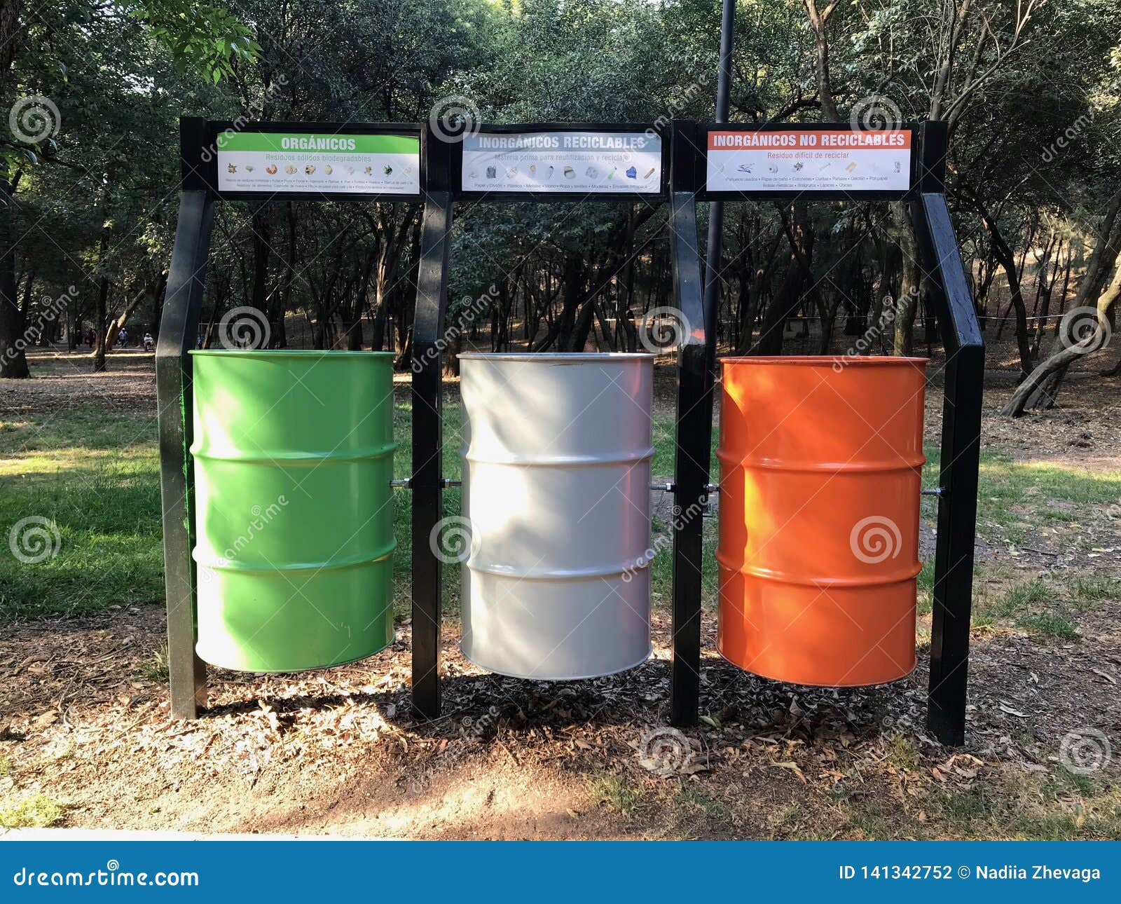 Multicolored Trash Cans Designed for Different Types of Waste on the ...