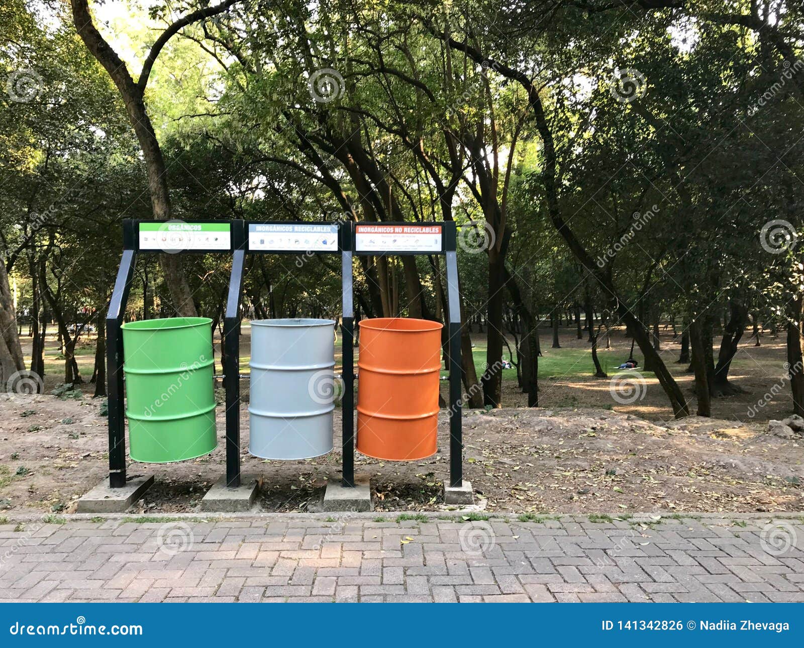 Multicolored Trash Cans Designed for Different Types of Waste on the ...