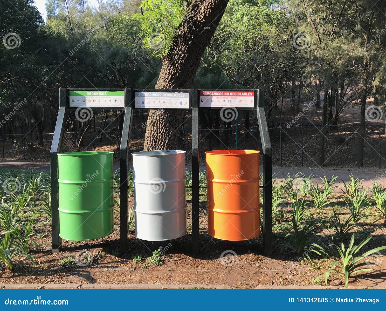 Multicolored Trash Cans Designed for Different Types of Waste on the ...