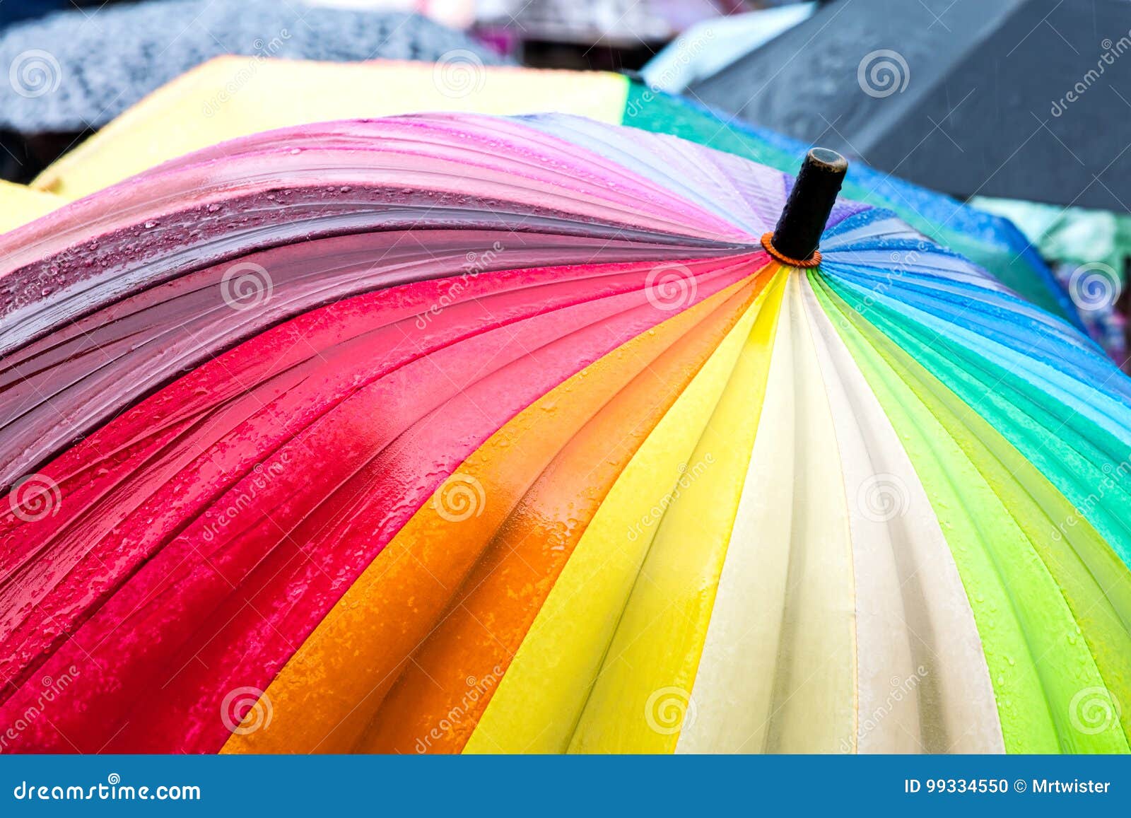 Multicolored Umbrella Stand Out from the Crowd of Many Umbrellas Stock ...