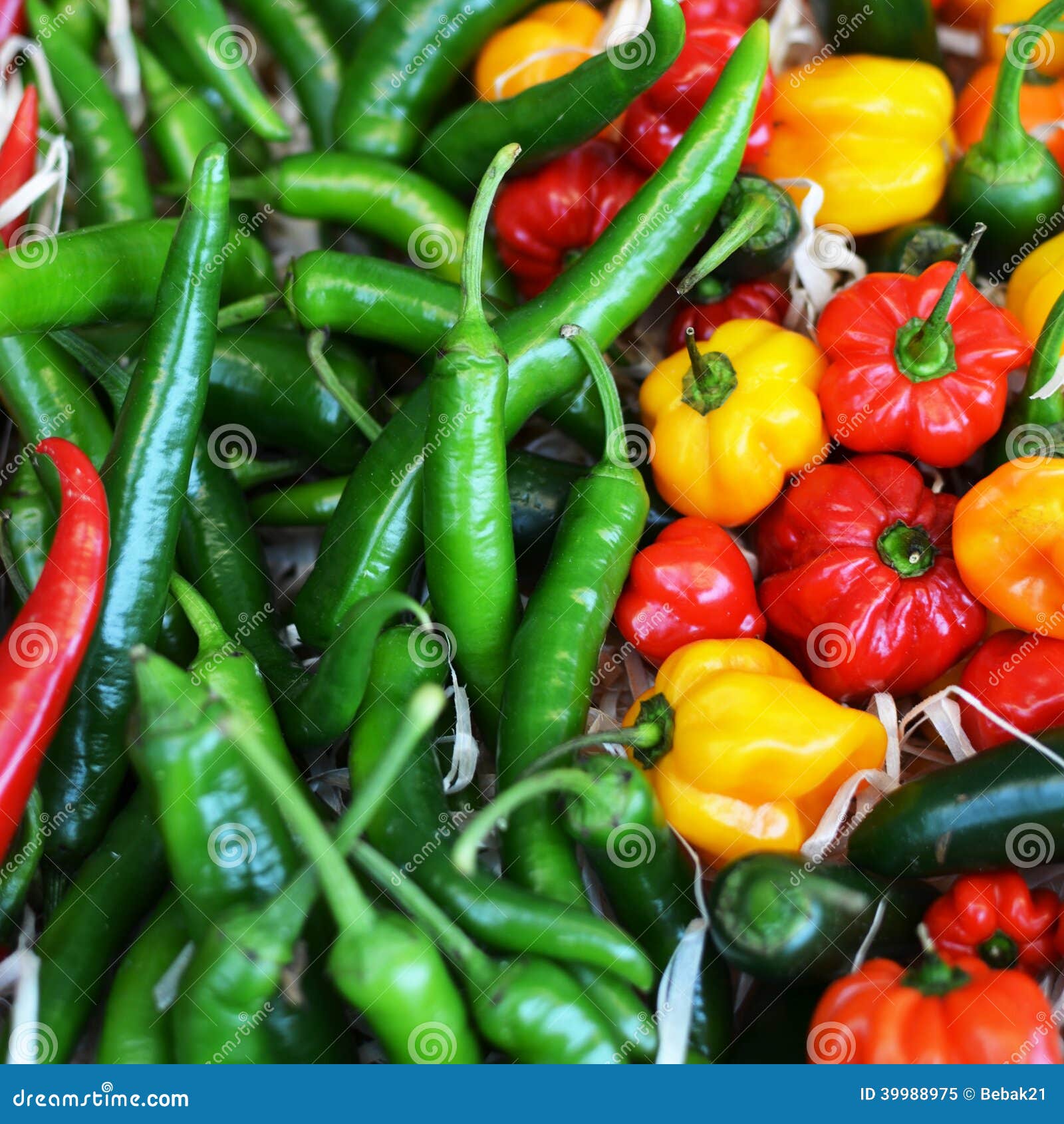 Multicolored Varieties of Peppers at a Vegetable Stand. Stock Image ...