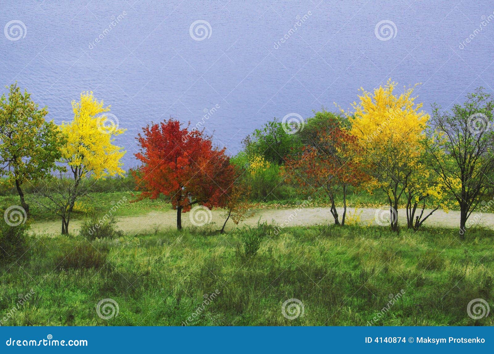 Multicoloured trees stock photo. Image of brightly, leaf - 4140874