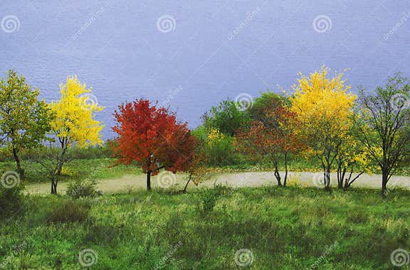 Multicoloured trees stock photo. Image of brightly, leaf - 4140874