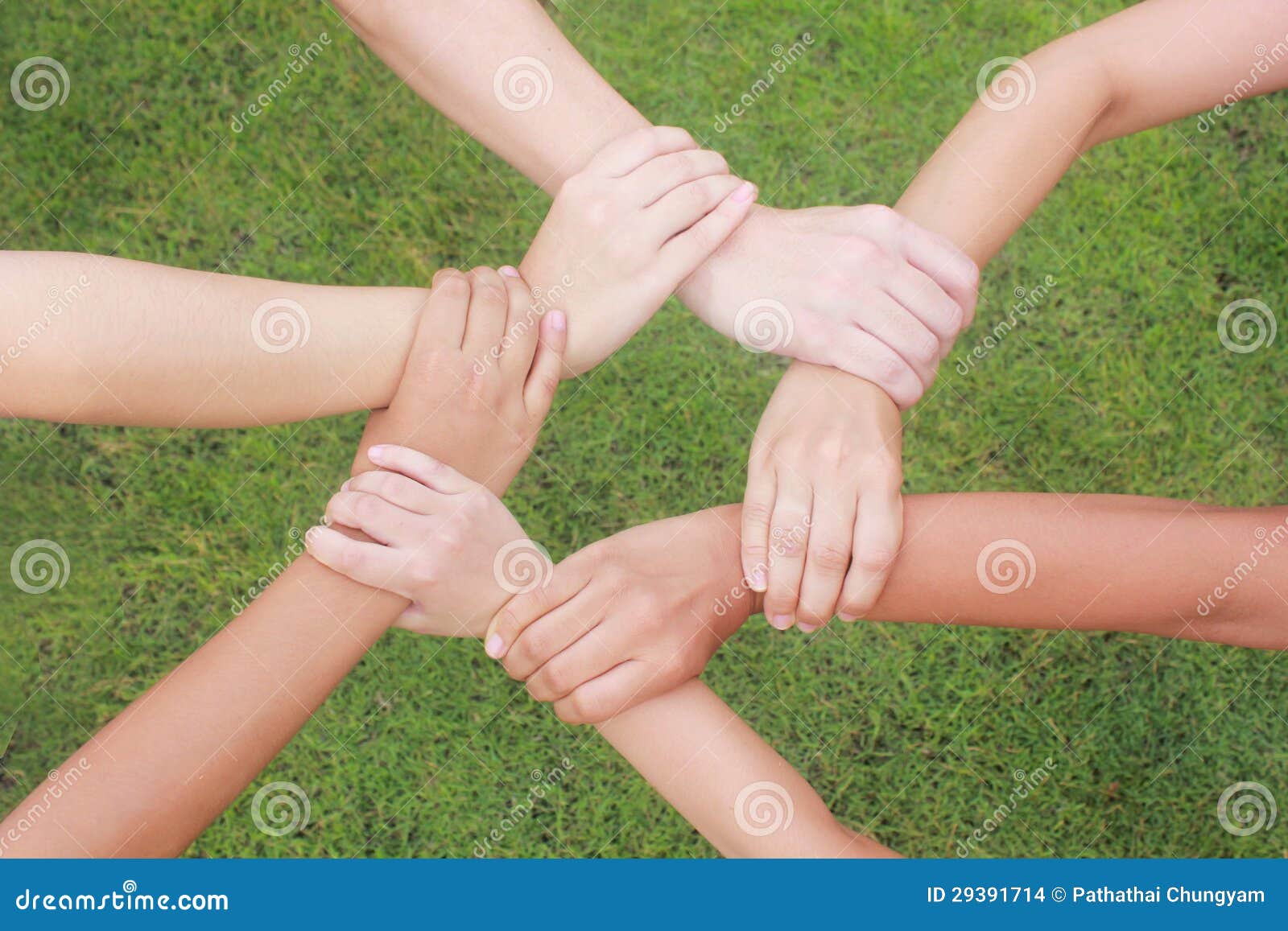 Multicultural hands stock photo. Image of promise, social - 29391714
