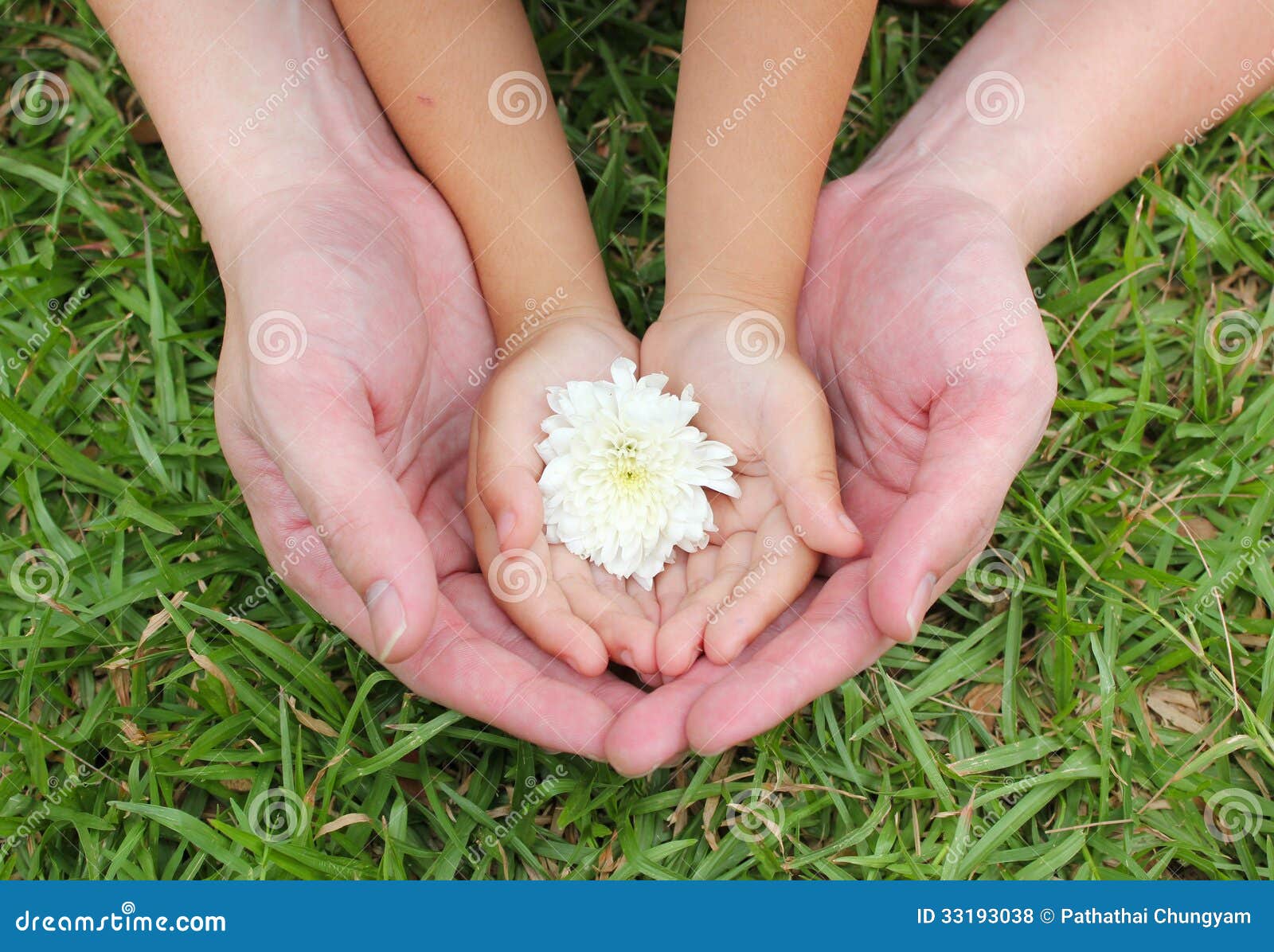 Multicultural hands stock photo. Image of love, embracing - 33193038