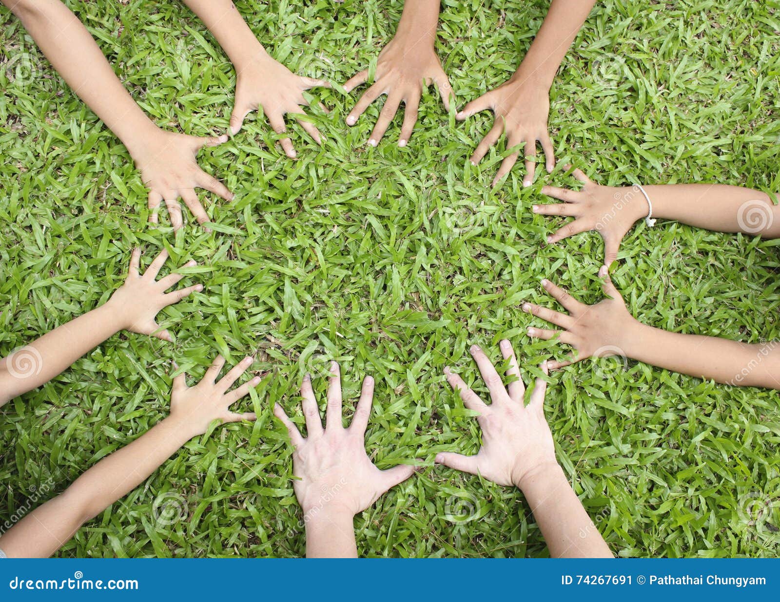 Multicultural hands stock image. Image of little, land - 74267691