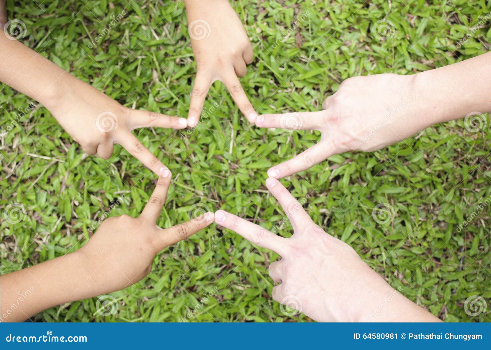 Multicultural hands stock image. Image of land, organ - 64580981