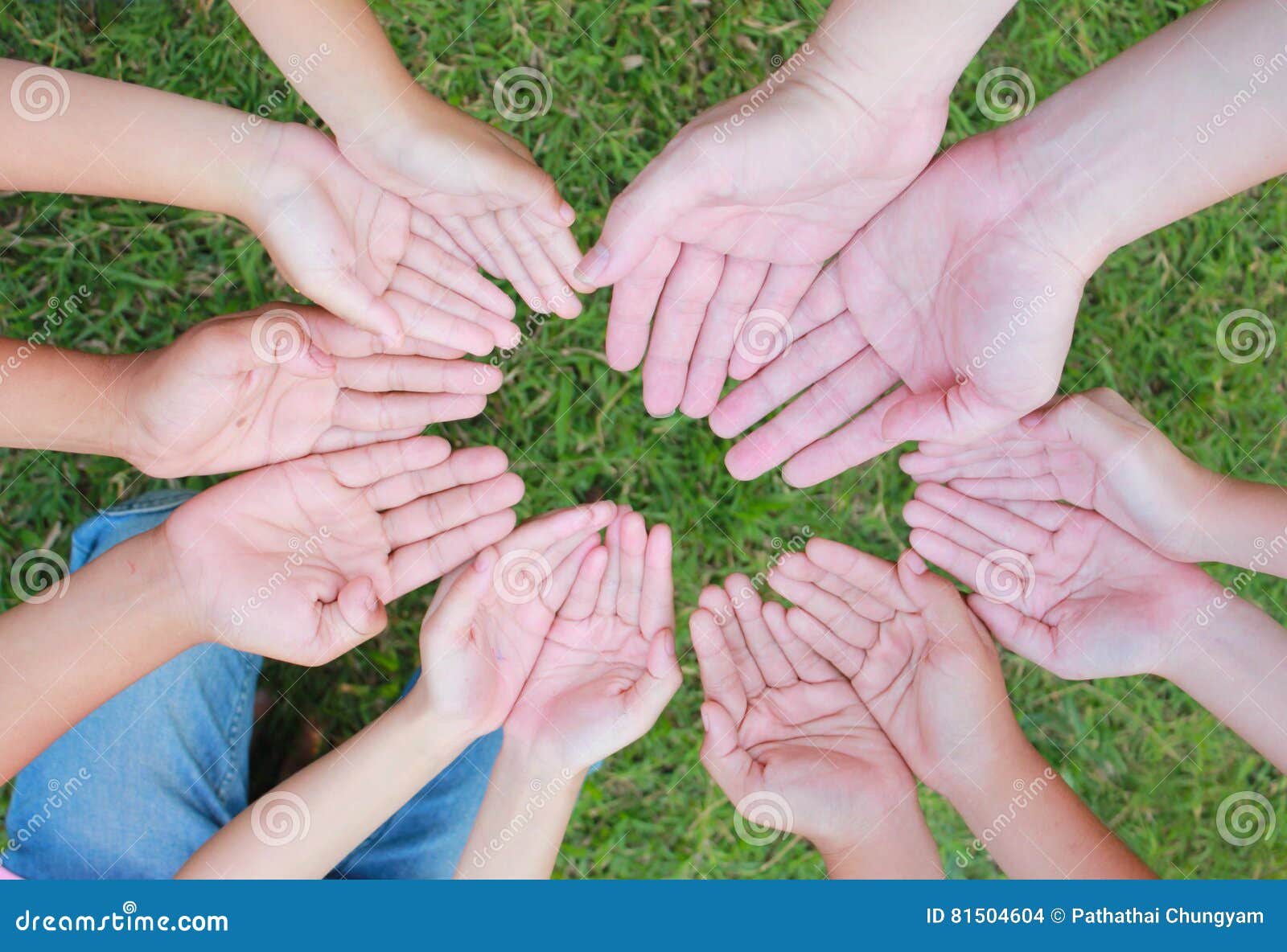 Multicultural hands stock photo. Image of land, nature - 81504604
