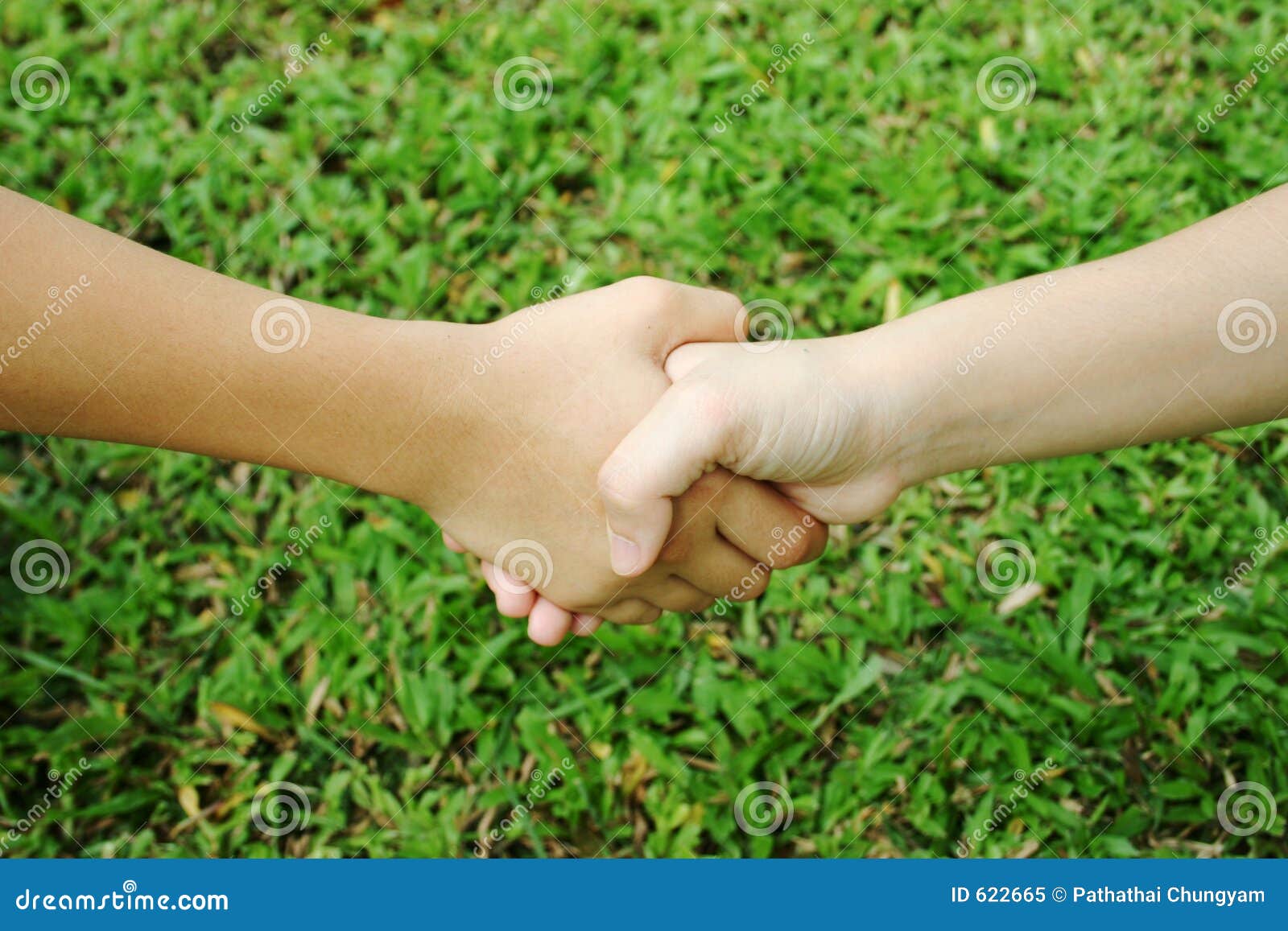 Multicultural handshake stock image. Image of united, community - 622665