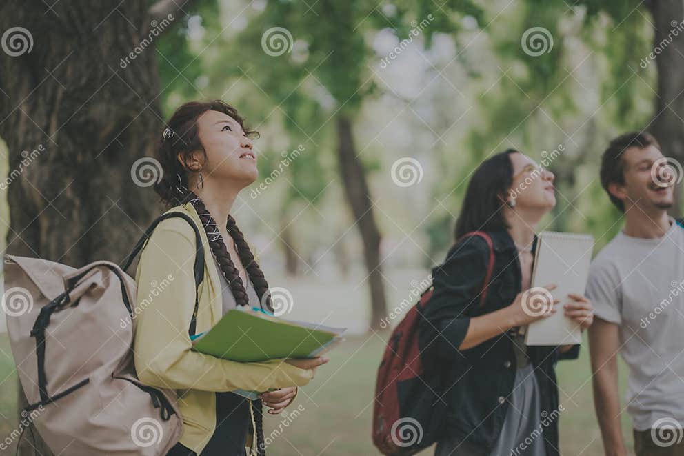 Multicultural Students Enjoying a Collaborative Study Session in the ...