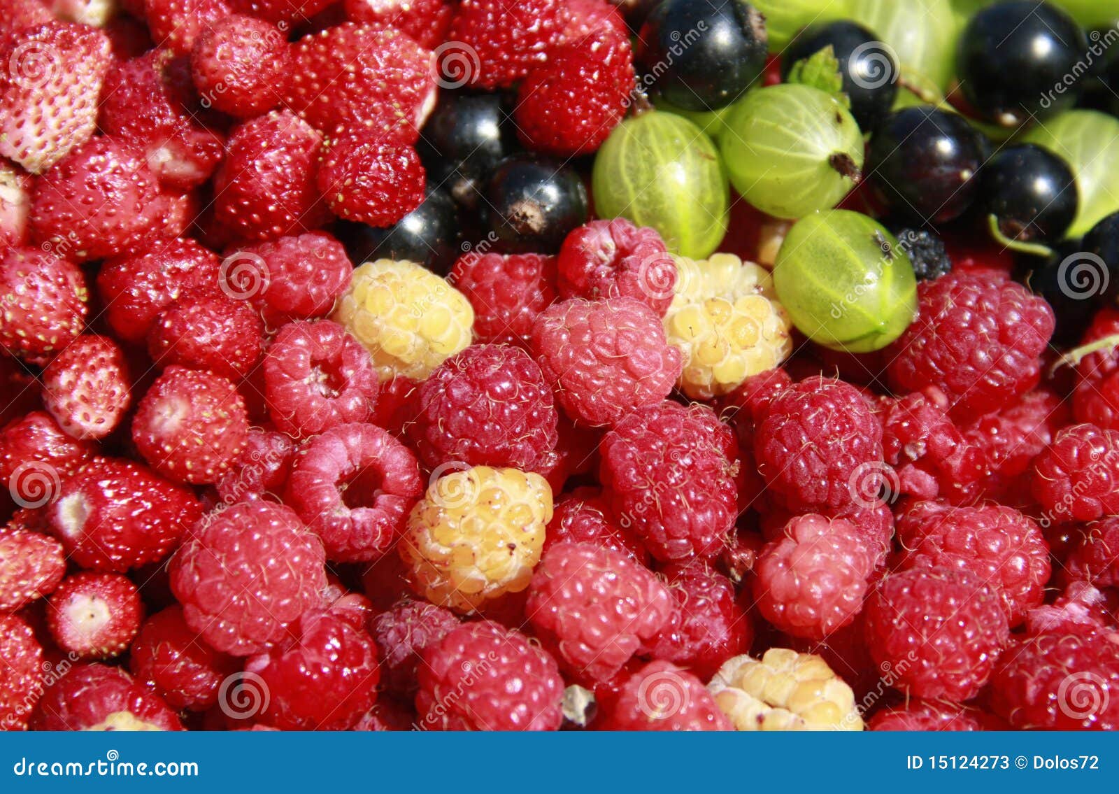 Multifruit imagem de stock. Imagem de gostoso, amarelo - 15124273