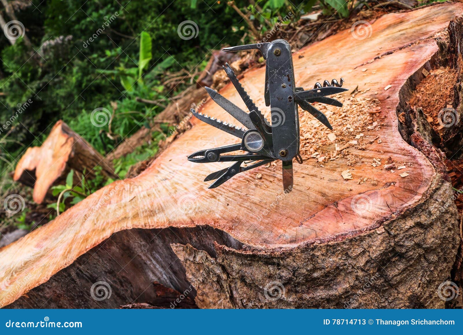 Multifunction Knife Stuck on the Tree Stump. Stock Image - Image of ...