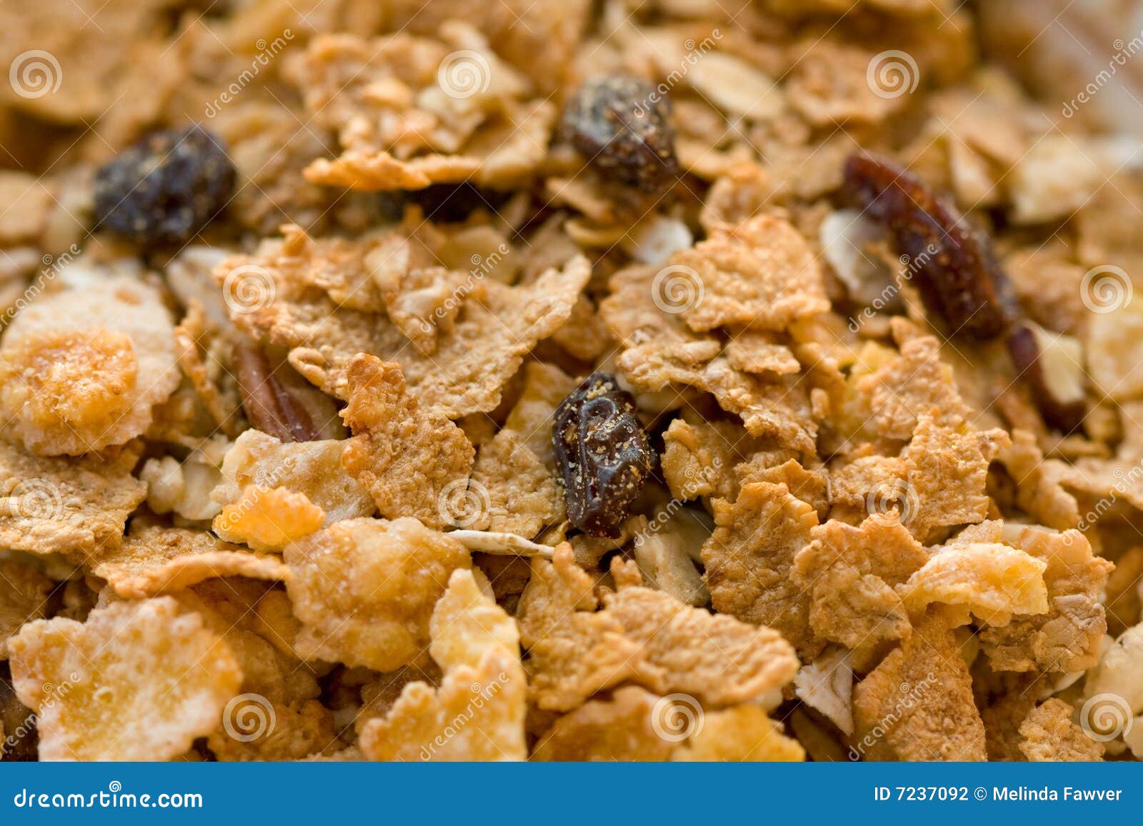 Multigrain Cereal stock photo. Image of multigrain, bran - 7237092