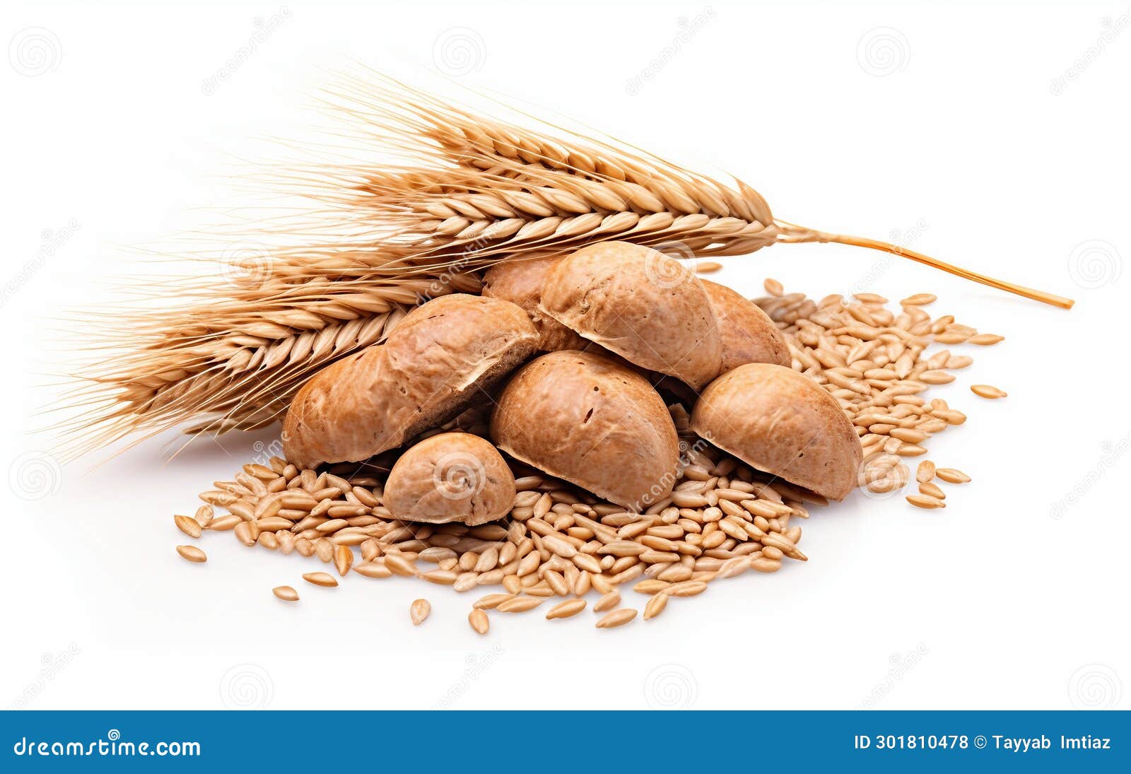 Multigrain Isolated on White Background. Stock Illustration ...