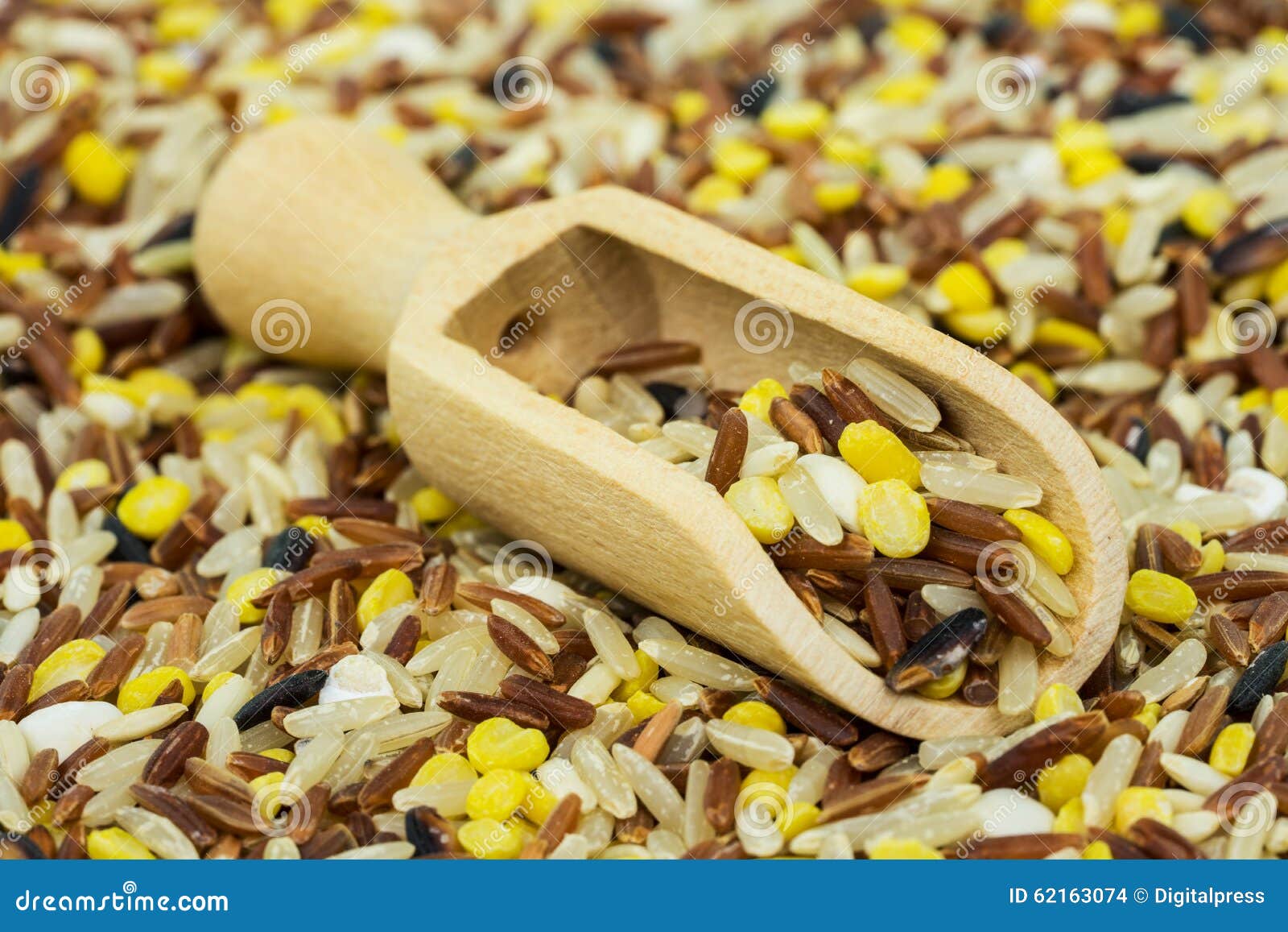 Multigrain Rice stock photo. Image of agriculture, close - 62163074