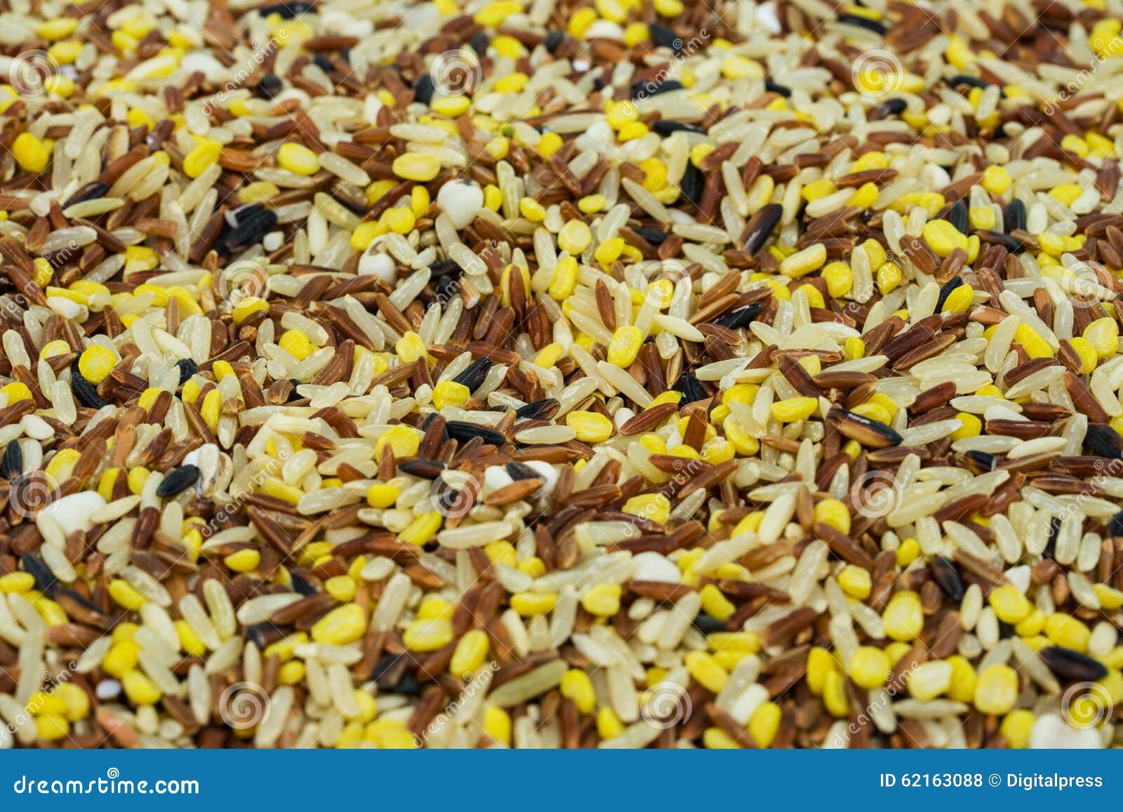 Multigrain Rice stock photo. Image of cereal, uncooked - 62163088