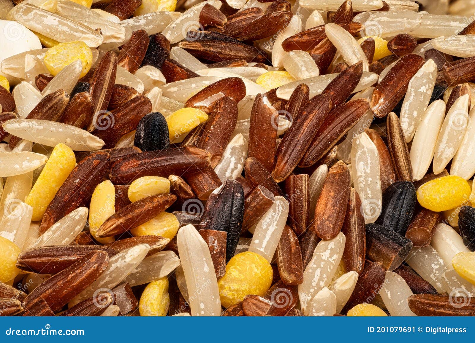 Multigrain Rice stock image. Image of wholegrain, cooking - 201079691