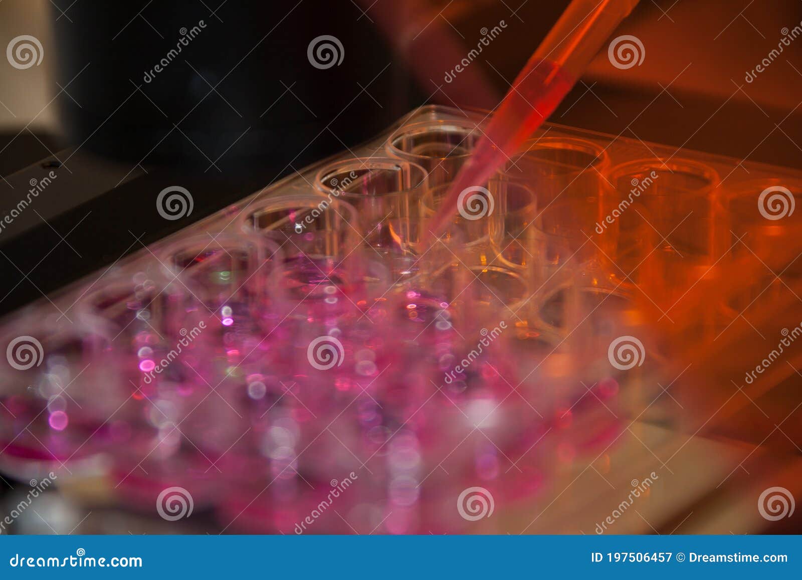 Assay Tray Loading Royalty-Free Stock Photography | CartoonDealer.com ...