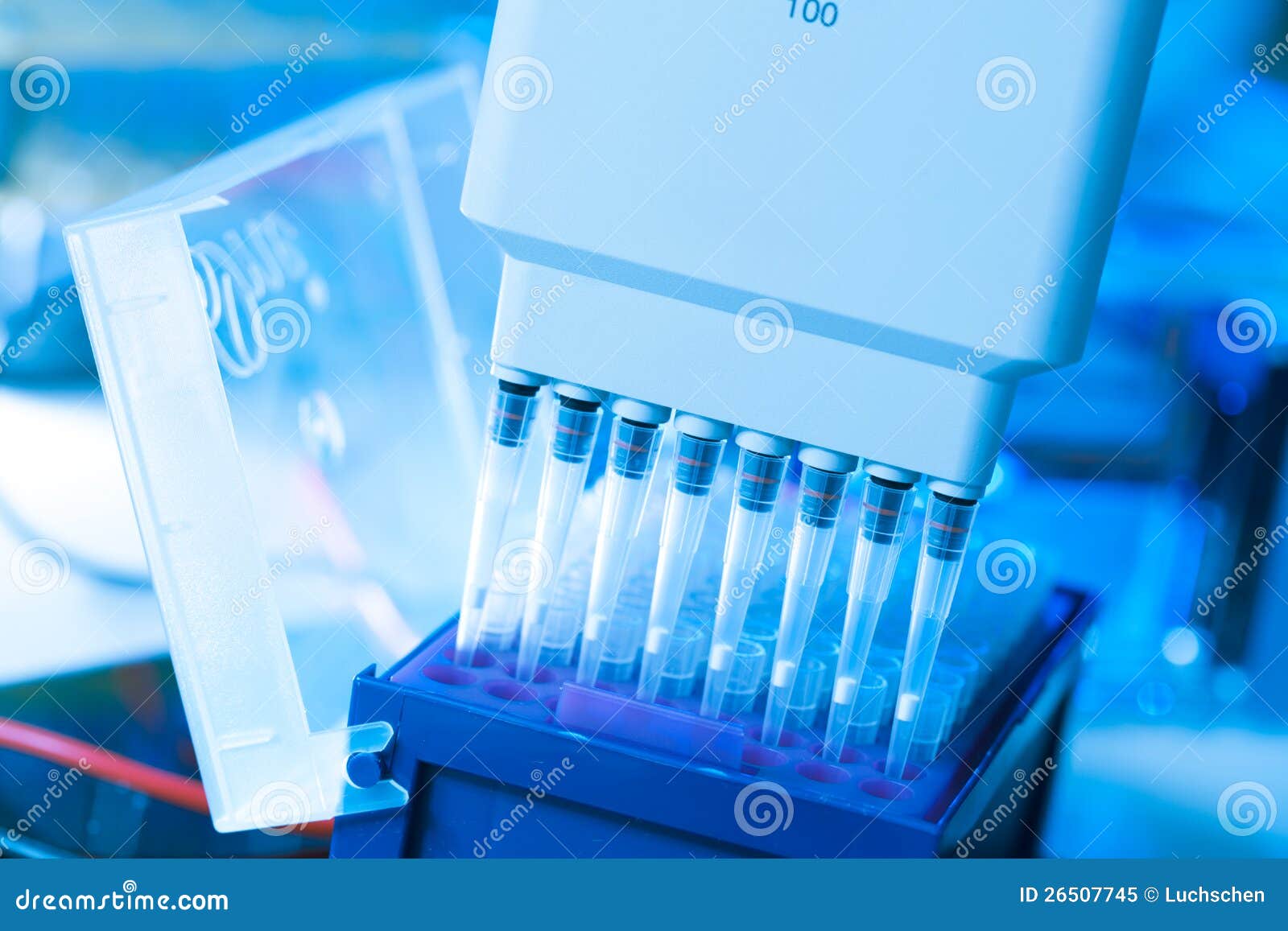Multipipette stock image. Image of pipette, multichannel - 26507745