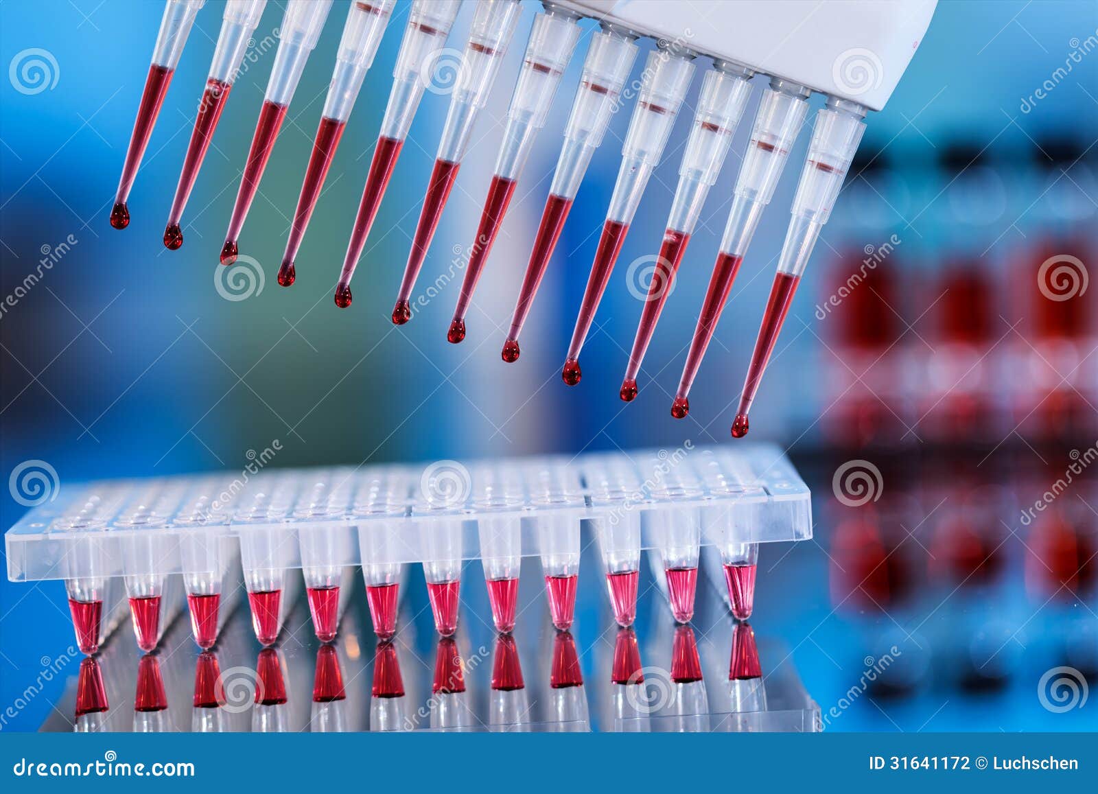 Multipipette stock photo. Image of high, plate, tray - 31641172