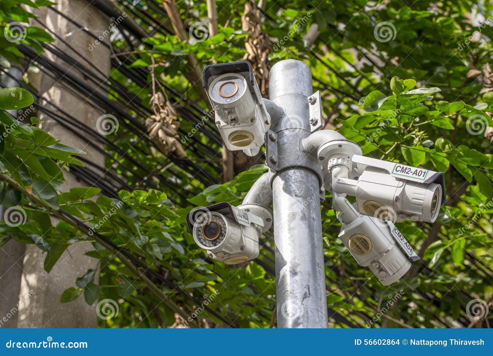 Multiple Angle Outdoor CCTV Camera on the Pole Near the Tree Stock ...