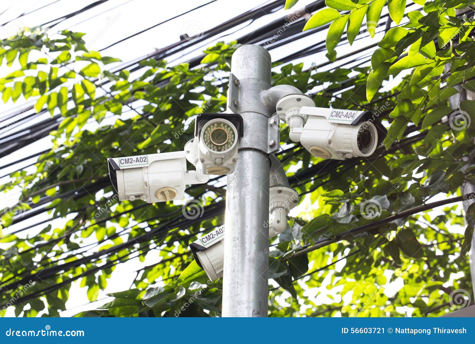 Multiple Angle Outdoor CCTV Camera on the Pole Near the Tree Stock ...