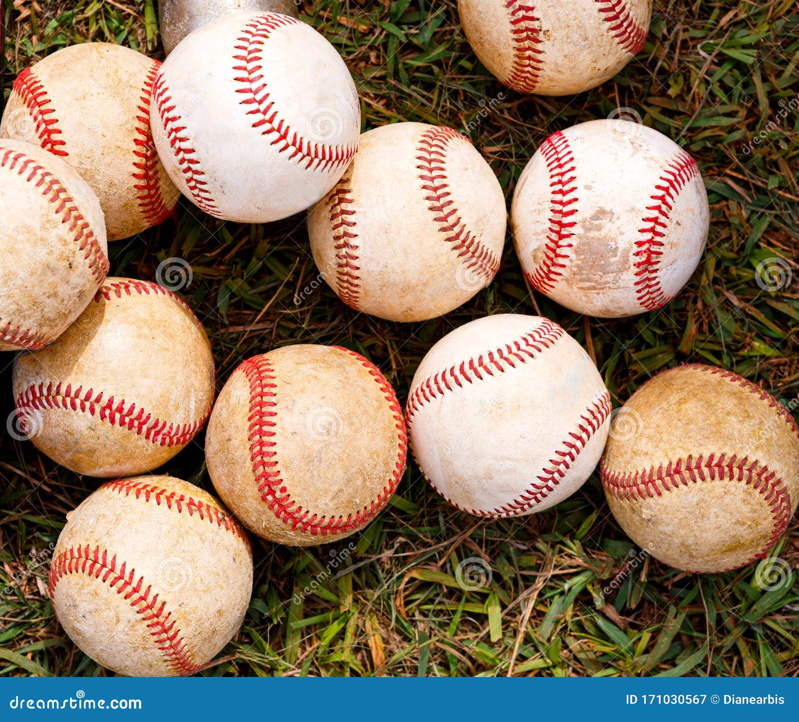 Multiple Baseballs in the Grass Stock Image - Image of round, equipment ...