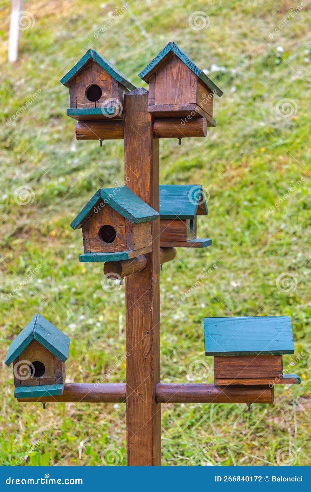 Multiple Birds Houses stock photo. Image of bird, multi - 266840172