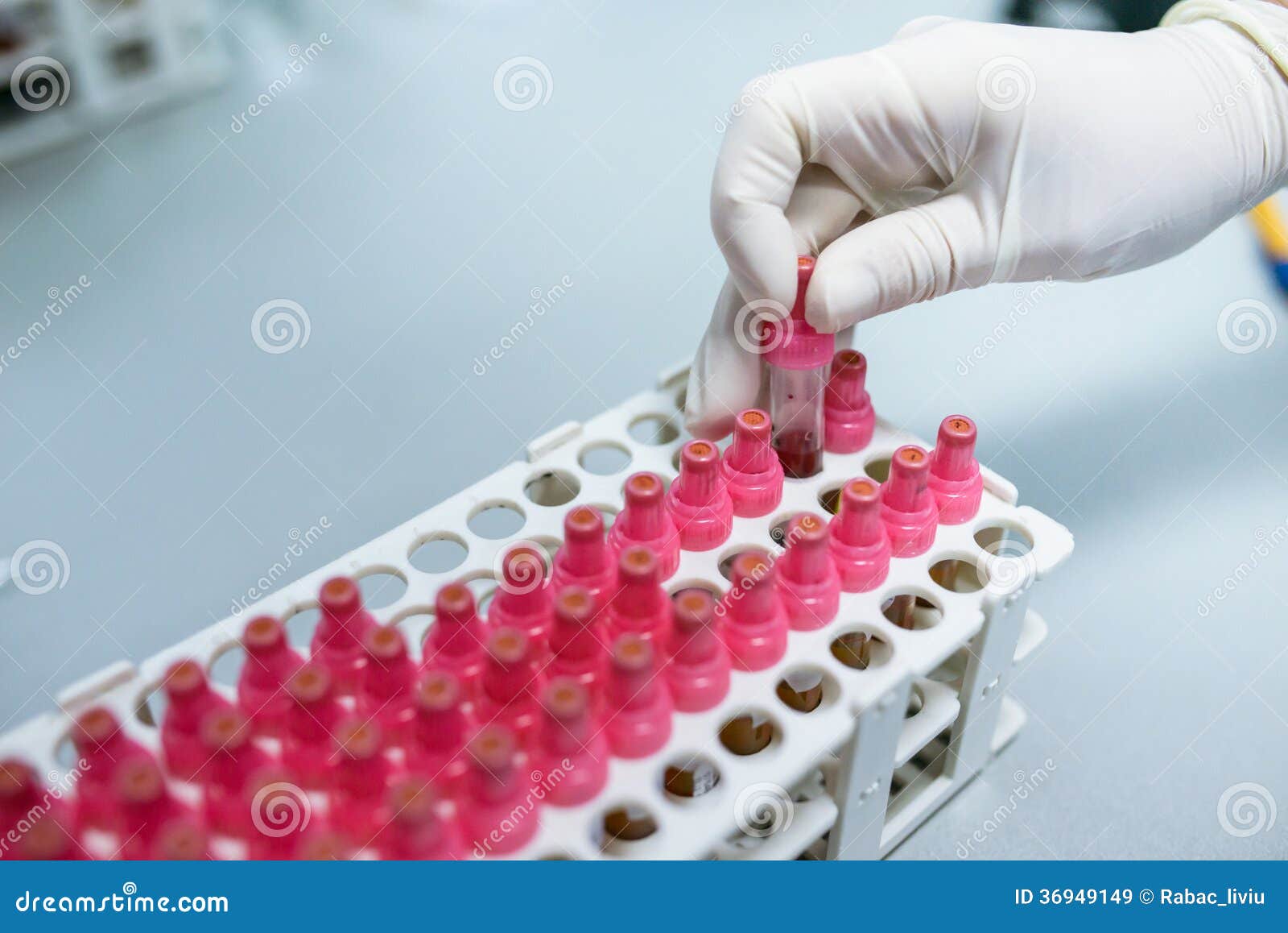 Multiple blood samples stock image. Image of rack, illness - 36949149