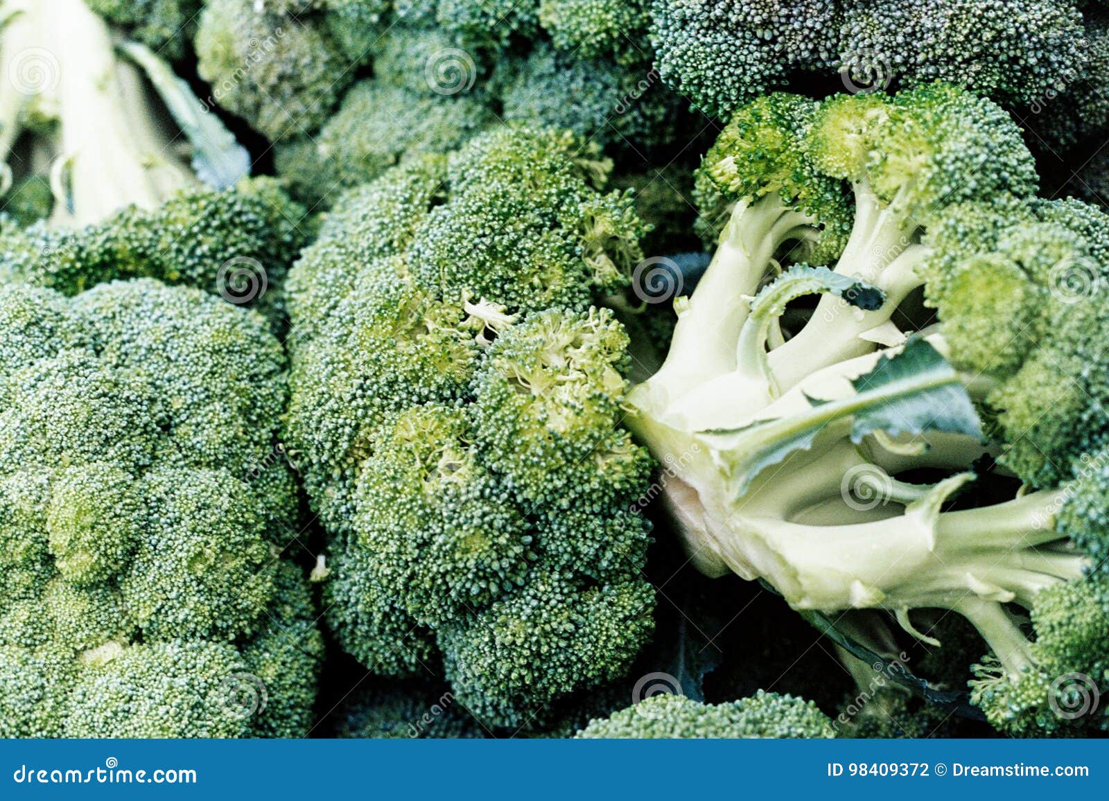 Multiple broccoli close-up stock photo. Image of green - 98409372