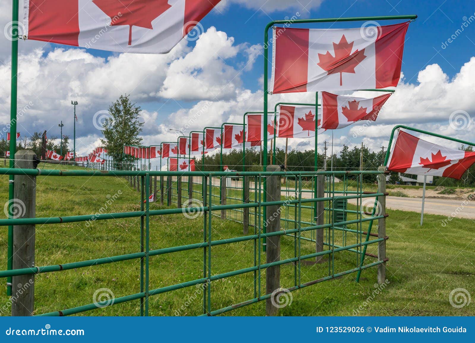 Multiple Canadian Flags Mounted on Fence Stock Photo - Image of outdoor ...