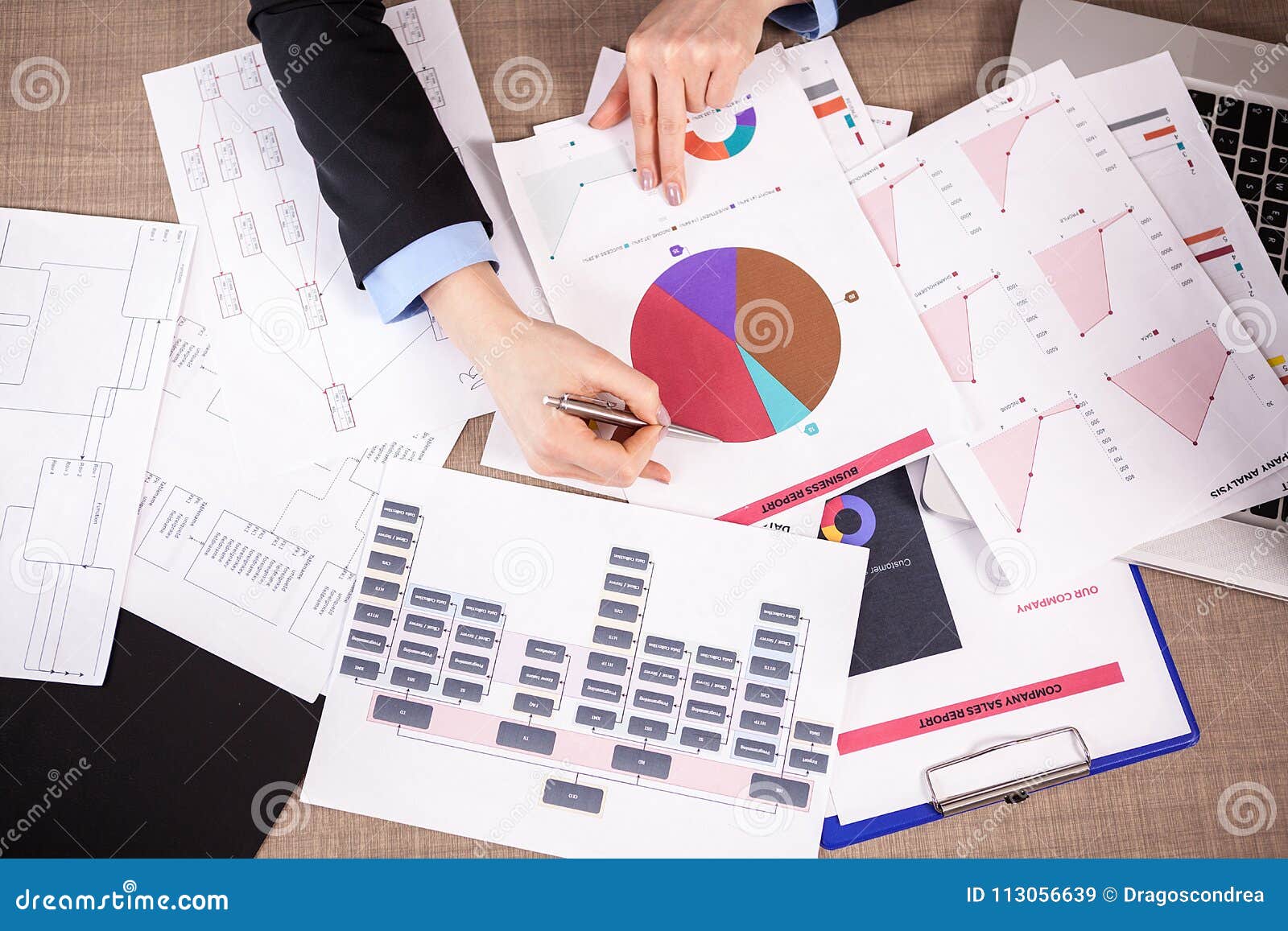 Multiple Charts Vector Flat Minimalistic Isolated Illustration ...