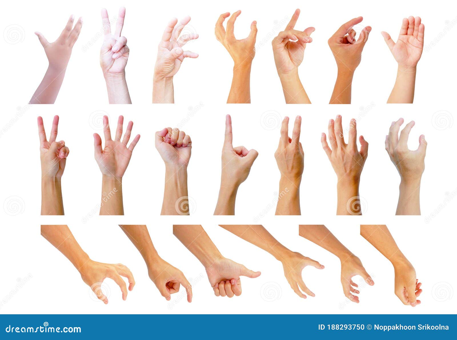 Multiple Collection Hand in Gestures Isolated on White Background of ...